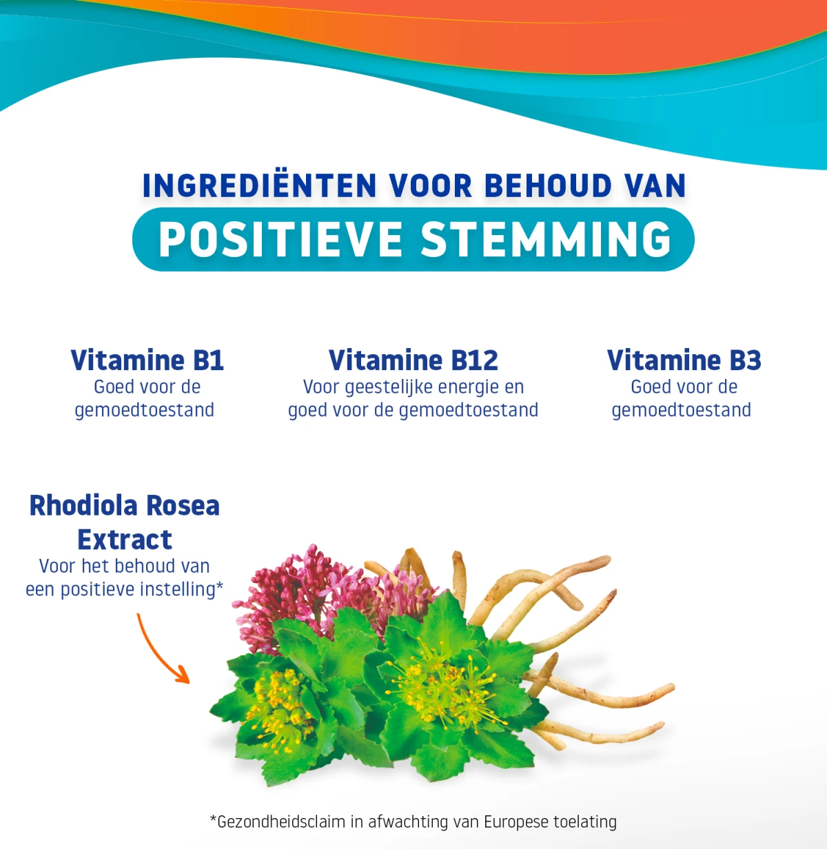 Valdispert Positive Stemming
