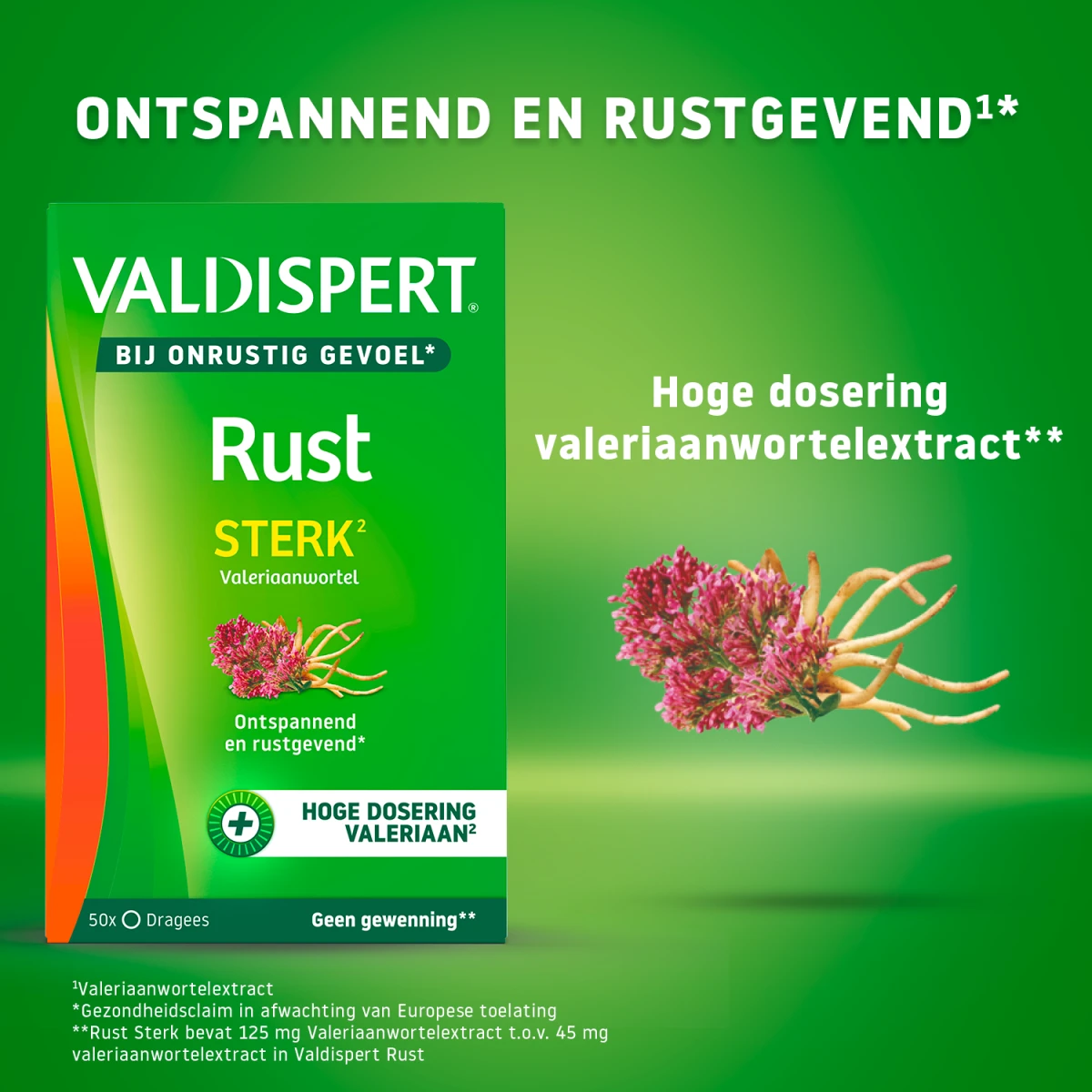 Valdispert Rust Sterk Valeriaan